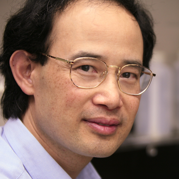 Chairs and professorships | Heart and Stroke Foundation